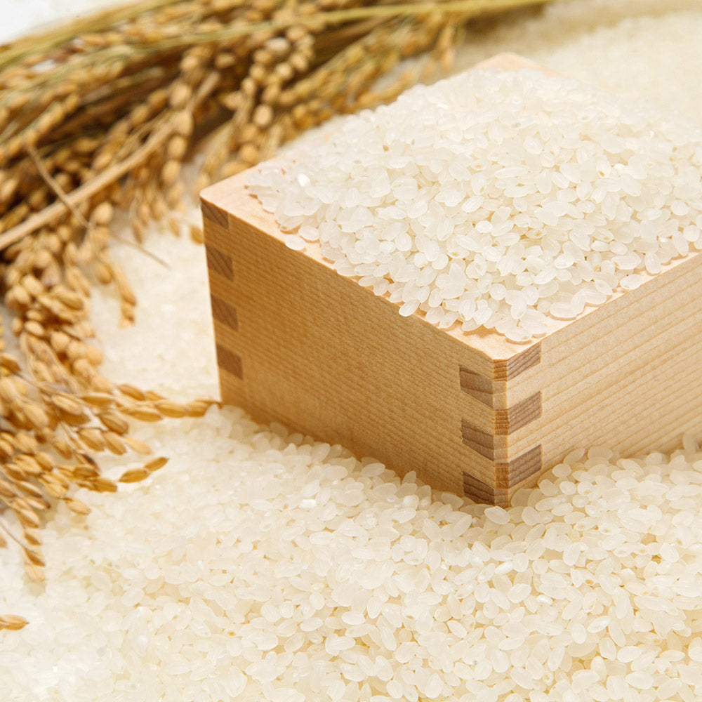 Premium Japanese Sake Singapore | Buy Online at Sakeya.sg